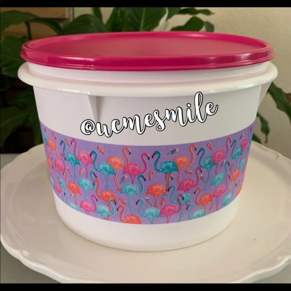 Tupperware | Kitchen | Tupperware Flamingos Round Nesting Storage ...